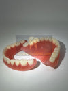 Custom Fit Nesbit- Flipper Flexible Partial Dentures From $299