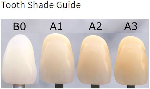 Flexible Nesbit Flipper Denture – 1–3 Tooth Partial | Order Online